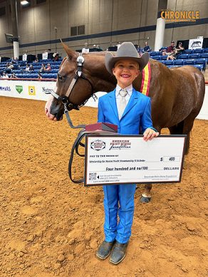 Around the Rings – 2025 APHA World Show with the G-Man | Equine Chronicle