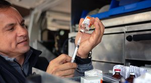 Equine Sedation: A Guide for Horse Owners | Equine Chronicle