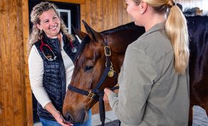 Equine Sedation: A Guide for Horse Owners | Equine Chronicle