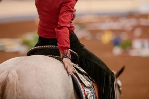 2026 AQHA Leveling Point Ranges | Equine Chronicle
