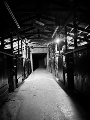 If These Walls Could Talk – an EC Blog by Marissa Ledford | Equine ...